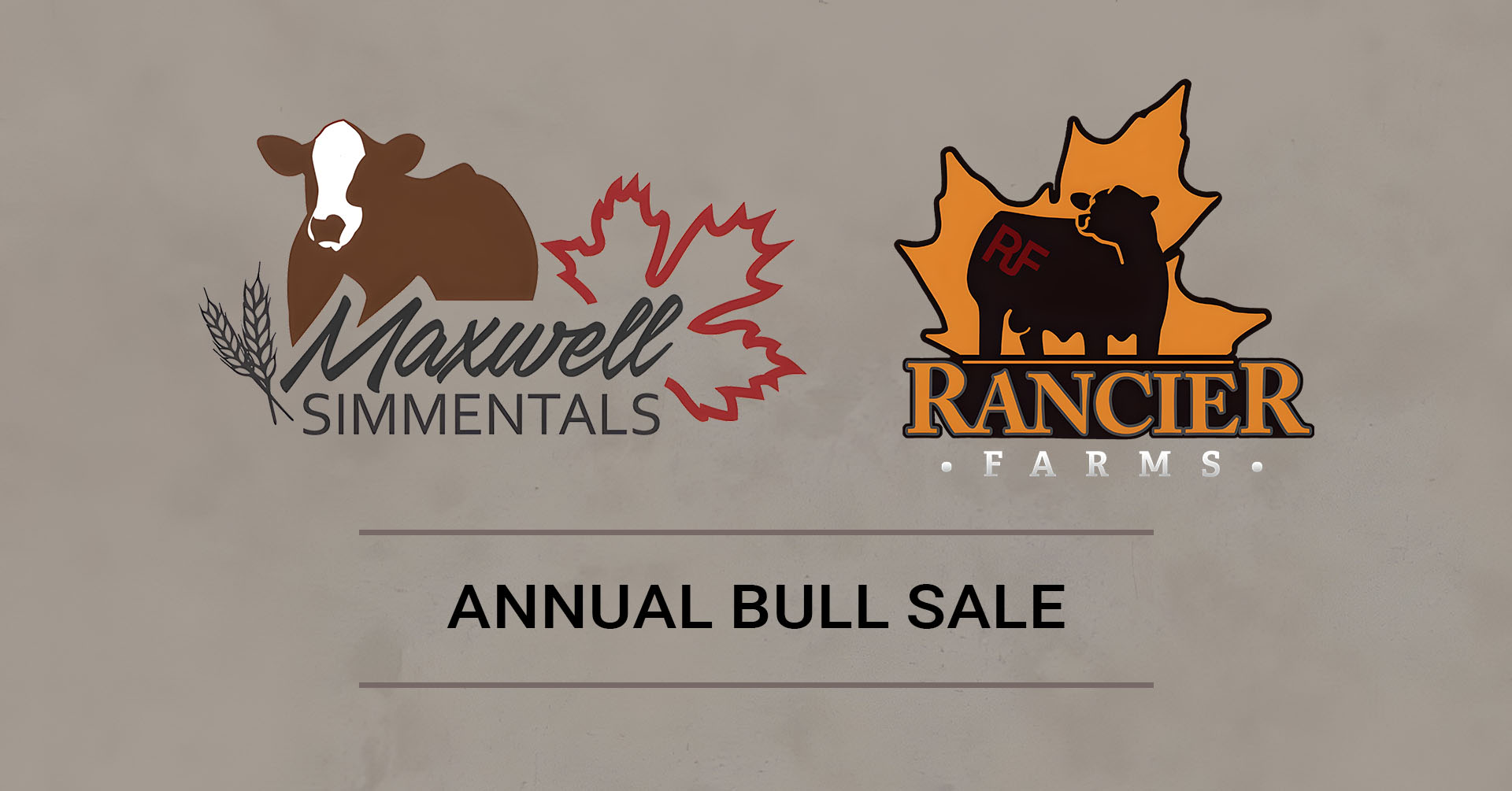 Maxwell/Rancier Bull Sale - Camrose Regional Exhibition